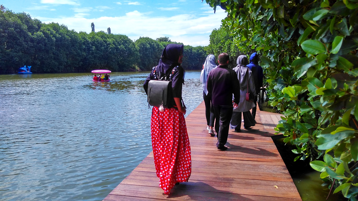 Pariwisata Provinsi Jawa Tengah | Destinasi Wisata | MANGROVE MAEROKOCO